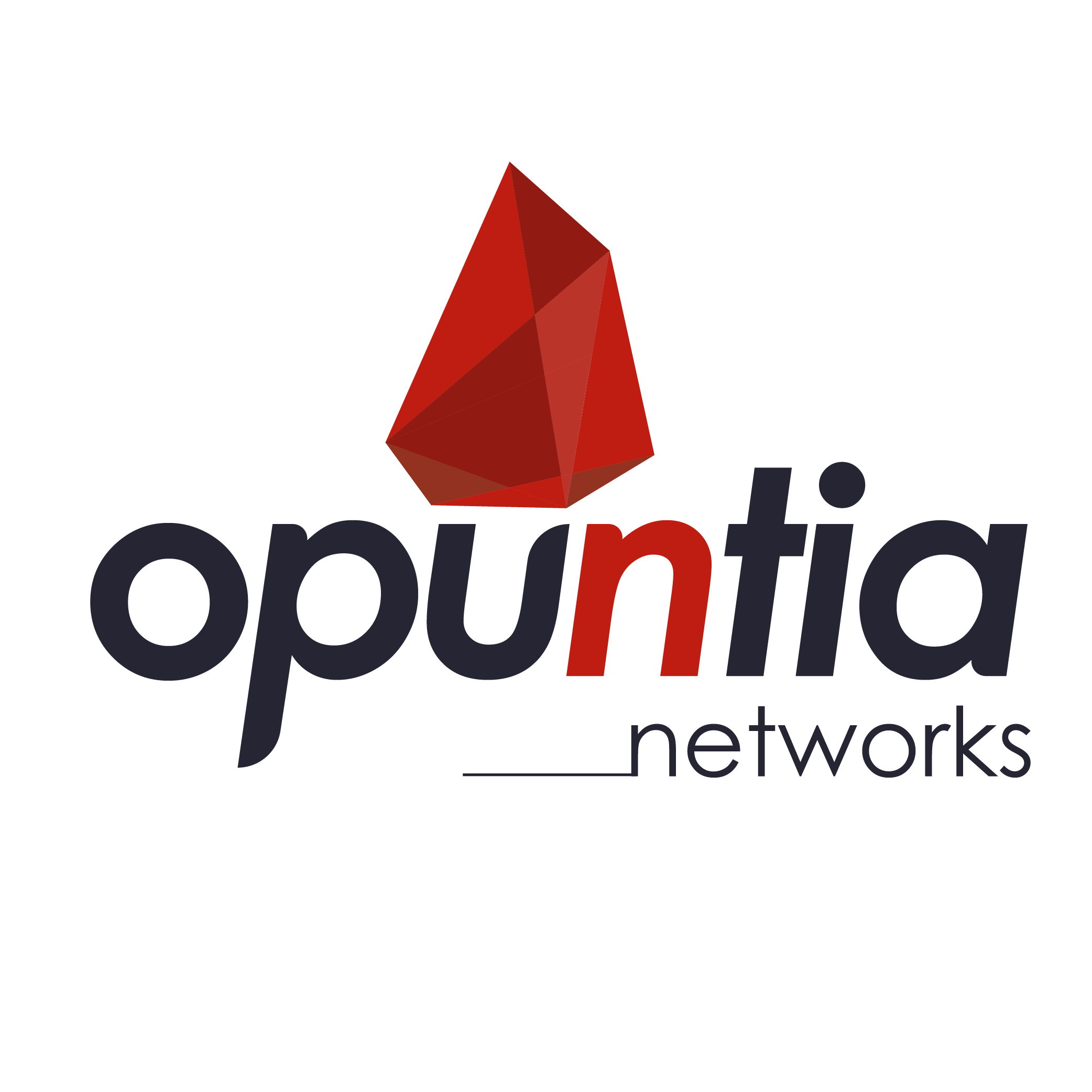 Opuntia Networks | Empresa compuesta por personal con amplio ...